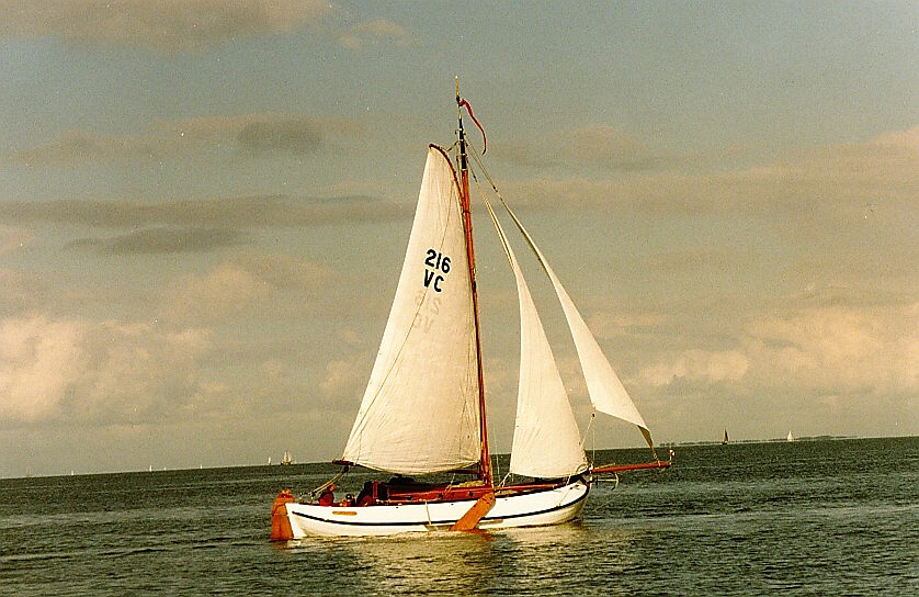 Lemsteraak profiel : VC216